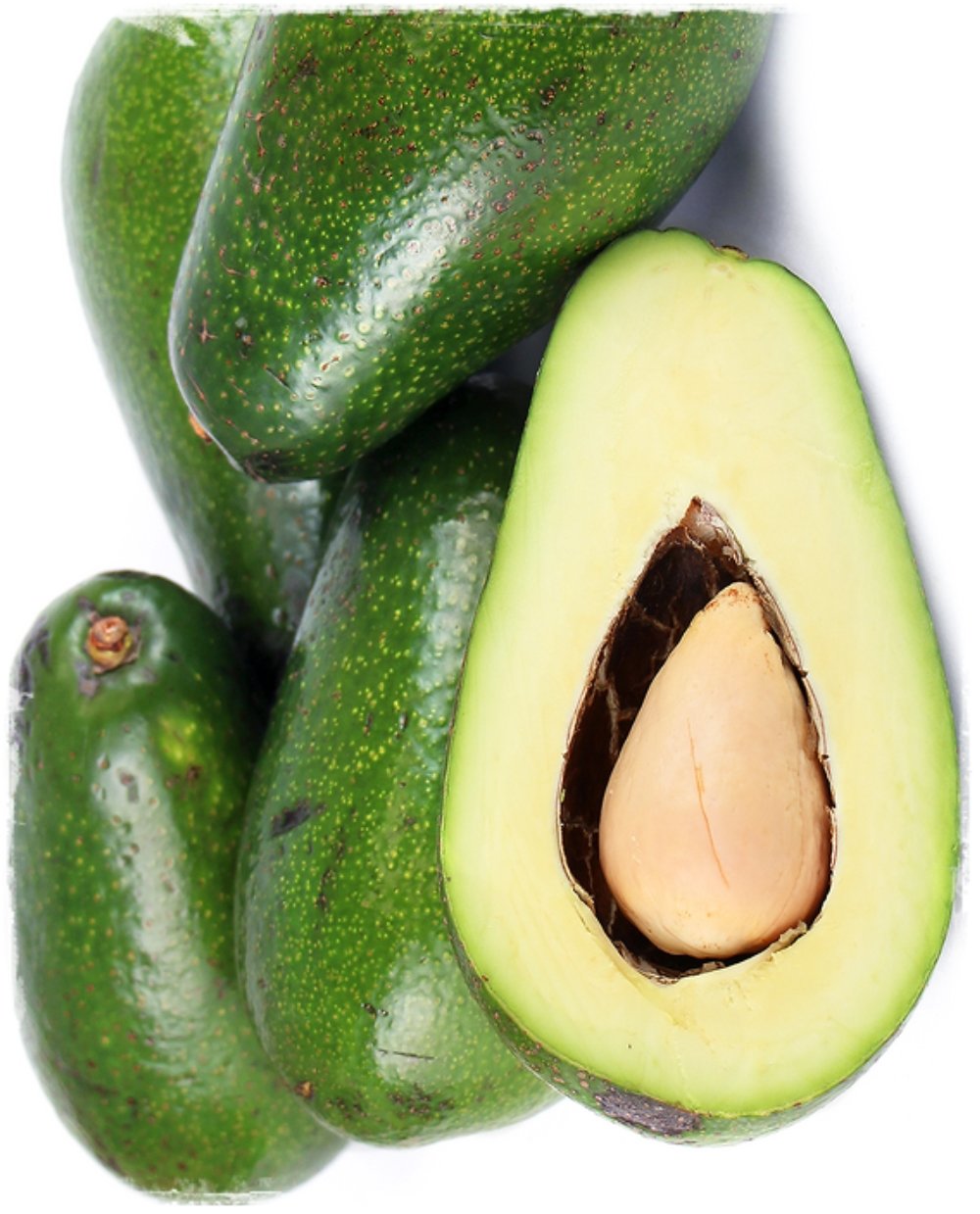 PIANTA PERSEA AMERICANA PIANTA DI AVOCADO ETTINGER INNESTATA H 100 cm – Vivaio Garden Forest